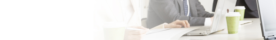 ソリューション紹介 | 株式会社ヴァリュックス／VALUX inc.