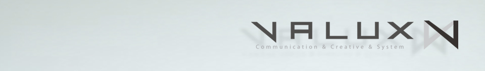 会社情報 | 株式会社ヴァリュックス／VALUX inc.